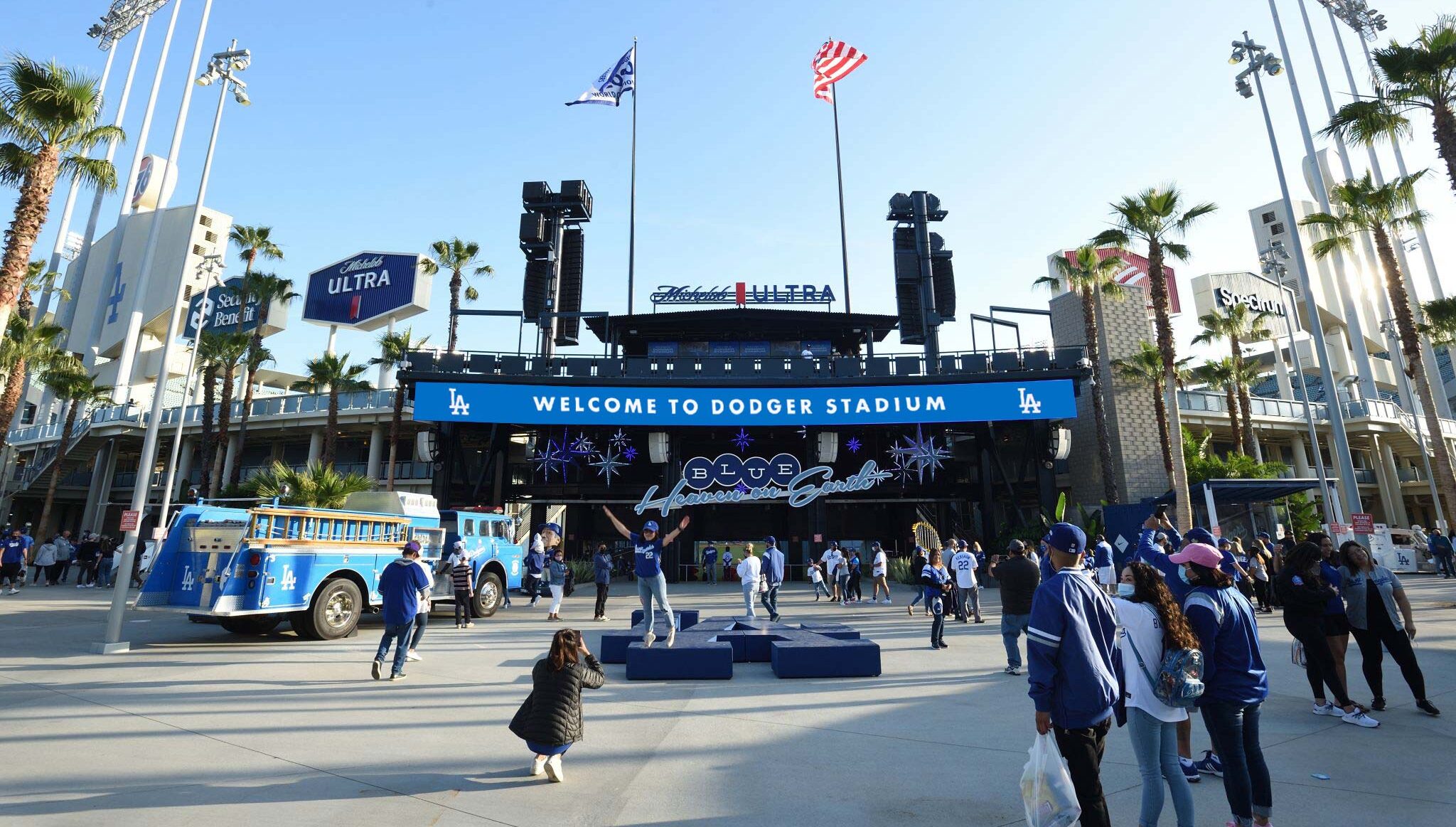 Canopy | Building beyond the bleachers.