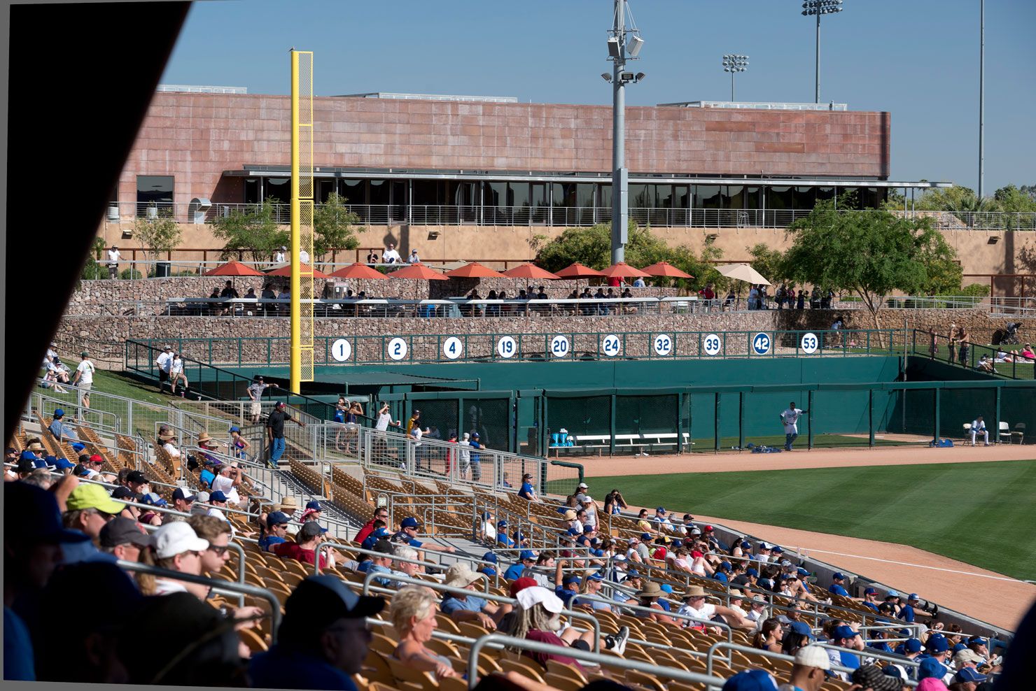 Canopy | Building beyond the bleachers.